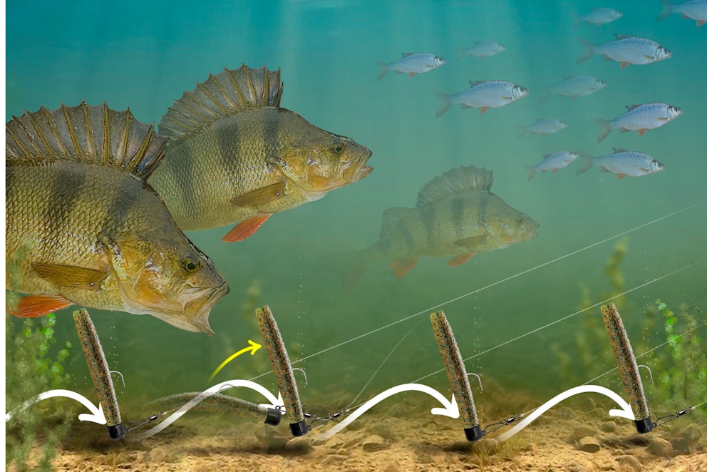 Master Jighead Fishing: 3 Effective Rigs Every Angler Needs