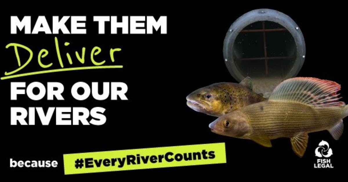 Every River Counts: Join the Fight to Protect Britain's Waterways
