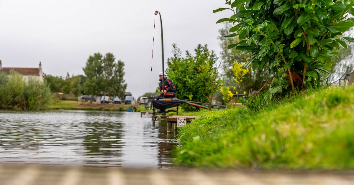 Unleash Your Autumn Carp Fishing Potential: Expert Tips for Margin Success
