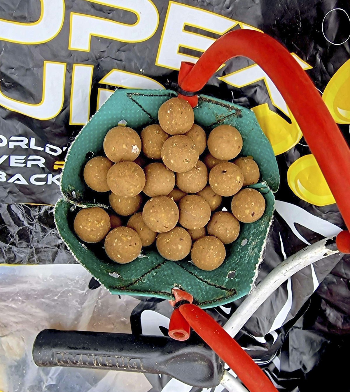 Carp fishing in autumn: carp fishing tips