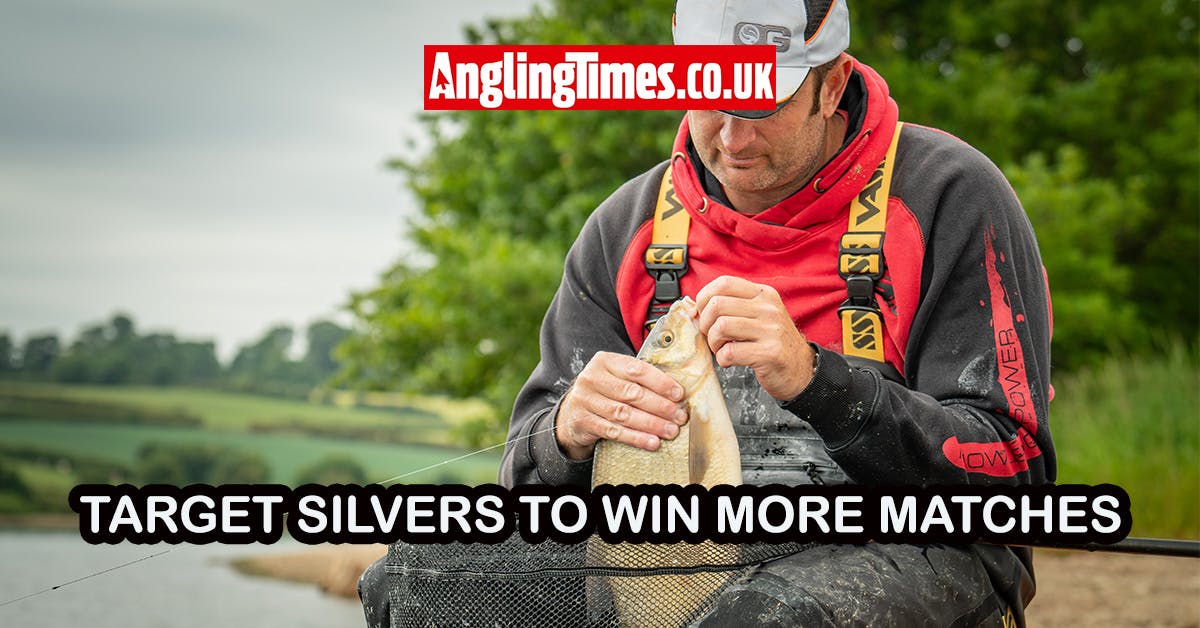 Catch more silverfish to win more matches
