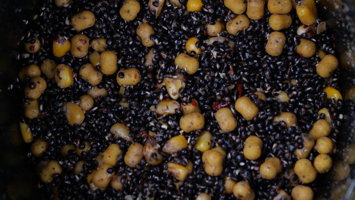 How to catch barbel using boilies | Paul Garner | Angling Times