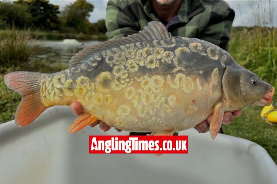 Incredible Find: Unique Fish Netted at 5 Star Fisheries