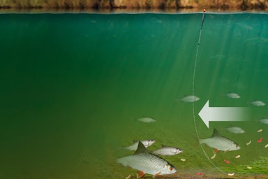 How to Fish with a Stick Float: A Step-by-Step Guide