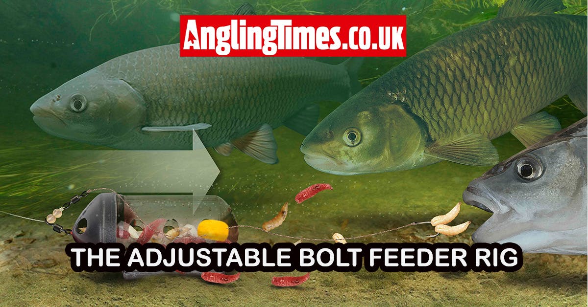 Rig tying guide: Bolt feeder rig for chub and roach on rivers