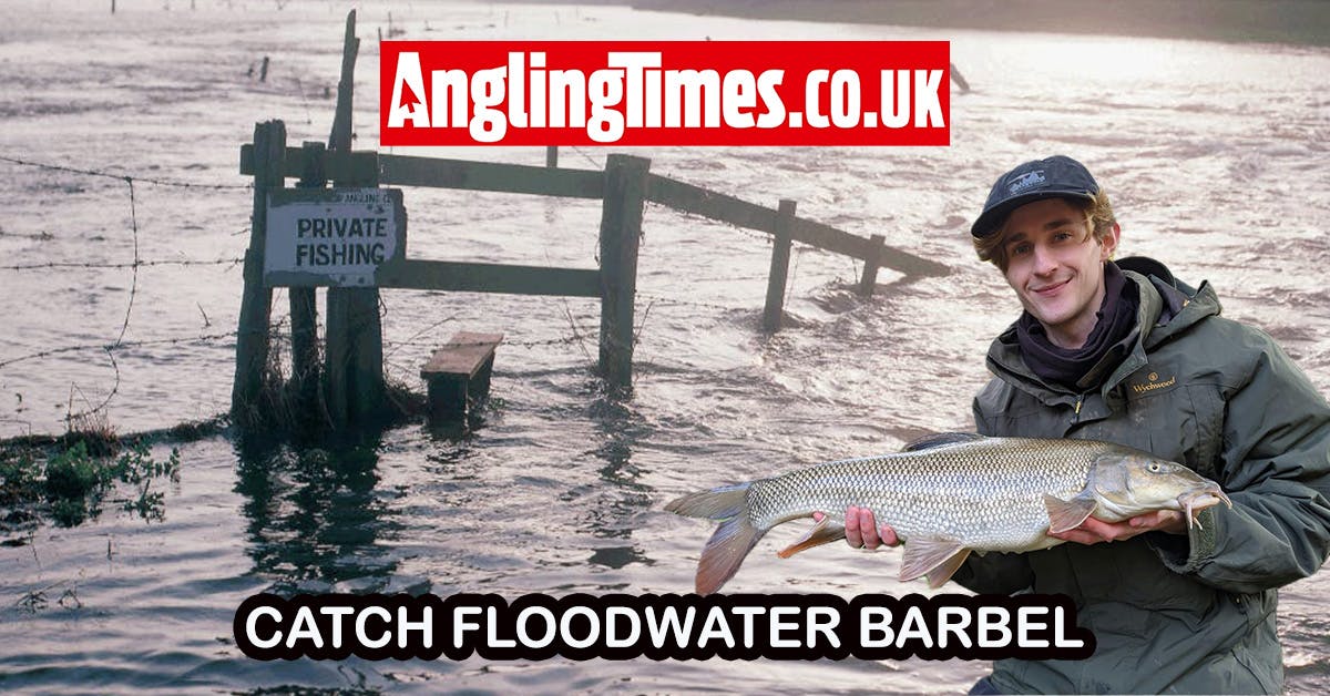 How to catch a floodwater barbel | Angling Times