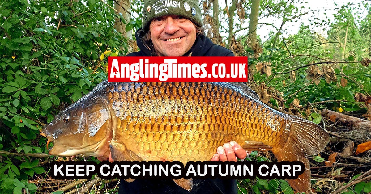 Carp fishing in autumn: carp fishing tips