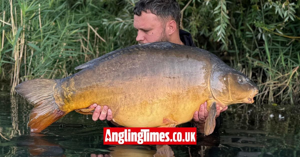 Angler banks unbelievable 97lb brace of UK carp | Angling Times