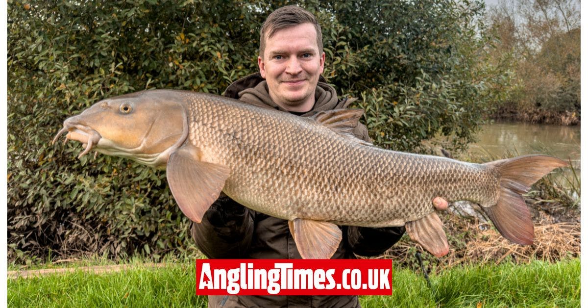 This year may be the best ever for huge barbel captures | Angling Times
