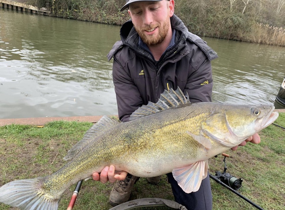 Massive canal zander landed on unusual tactics | Angling Times