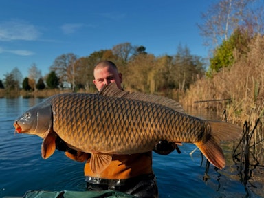 Monumental carp near British Record stocked into popular fishery ...