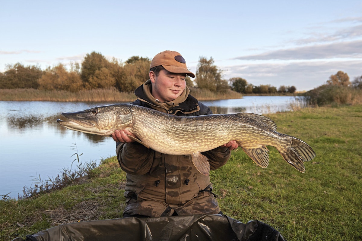 It’s time to get the pike rods out with big fish on the feed | Angling ...