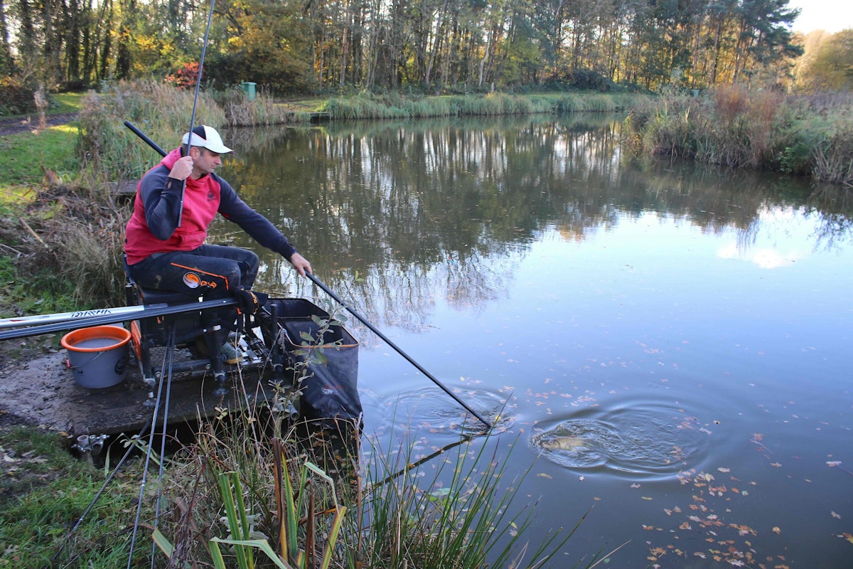 How to land more fish on the pole | Steve Ringer | Angling Times