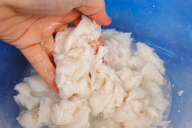 Conquering Cold Water: 3 Effective Bread Bait Techniques