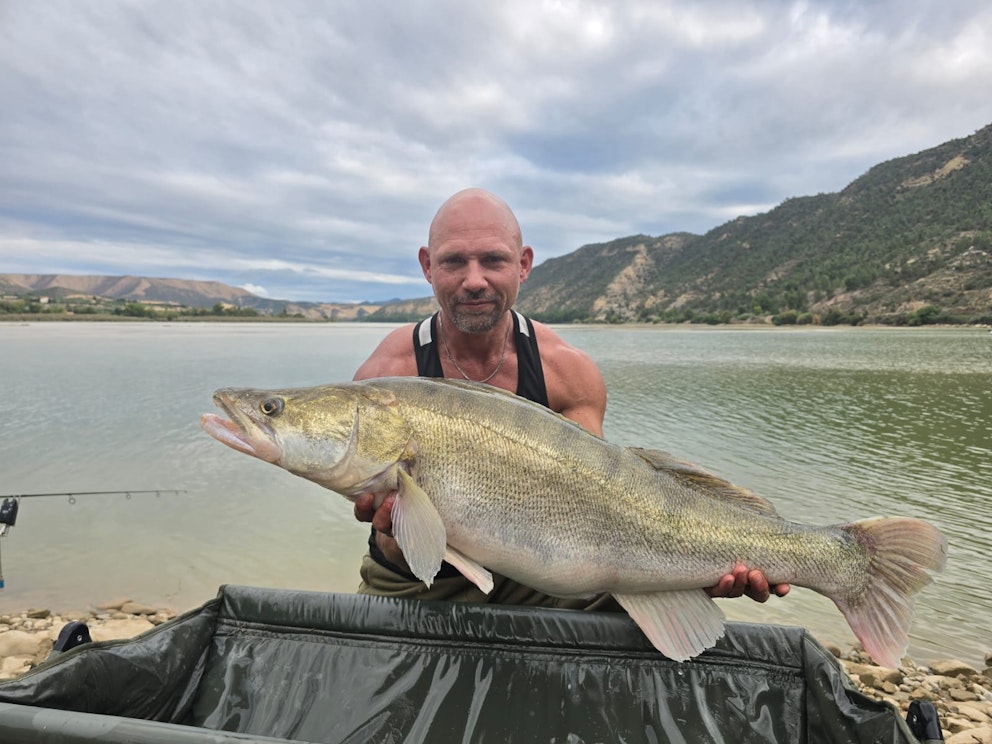 25lb zander tempted by a very unusual bait | Angling Times