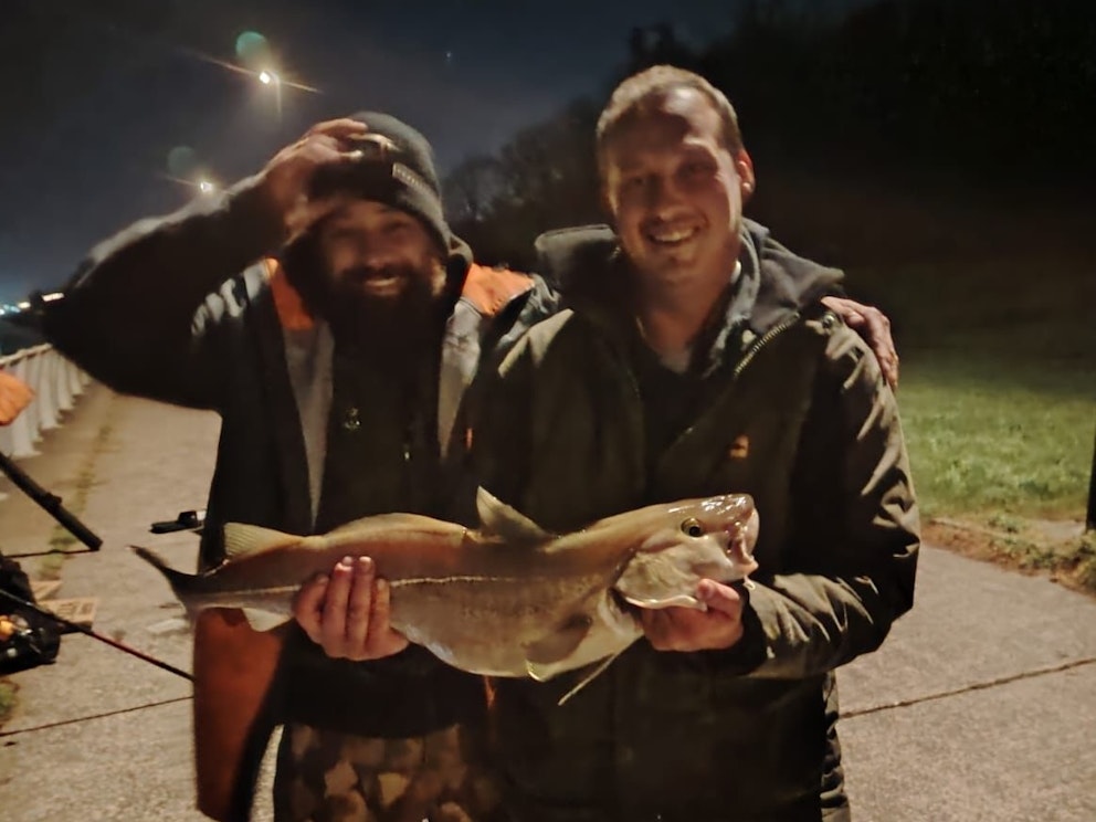 Monster cod landed from the River Mersey | Angling Times