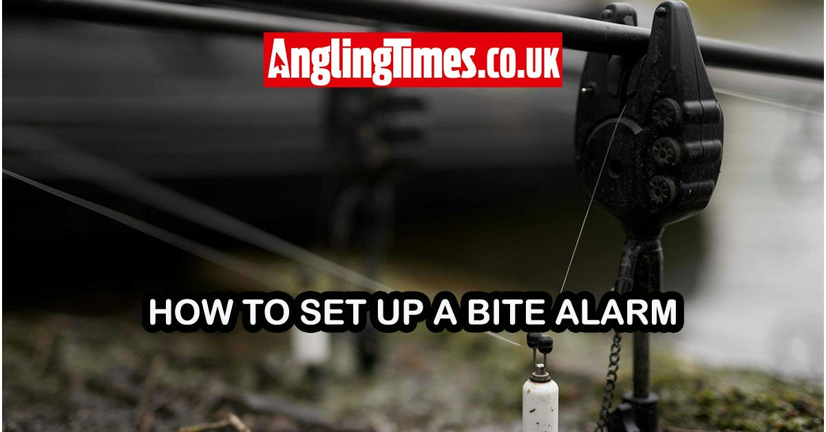 A Beginner's Guide to Setting Up Your Fishing Bite Alarm