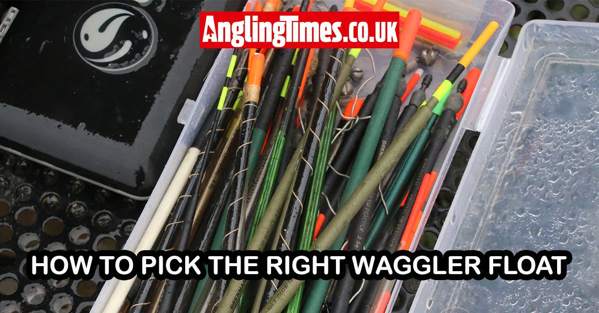 Tips | Advice | Angling Times