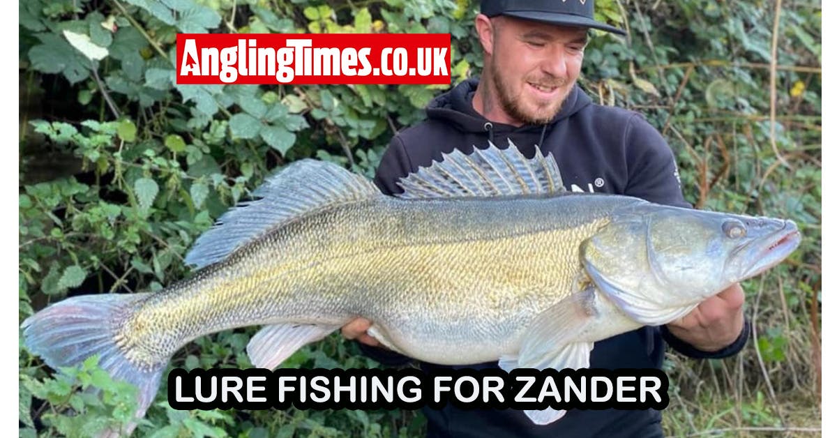 lure fishing for zander: catch zander on lures