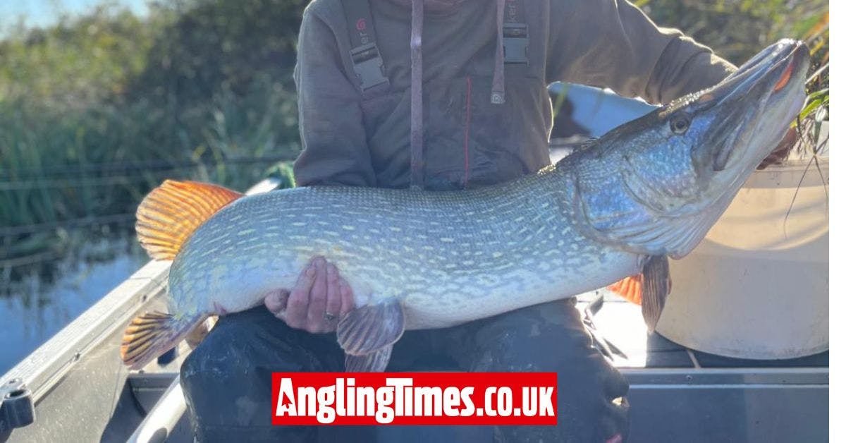 Monster Broads croc tops pike session of a lifetime | Angling Times