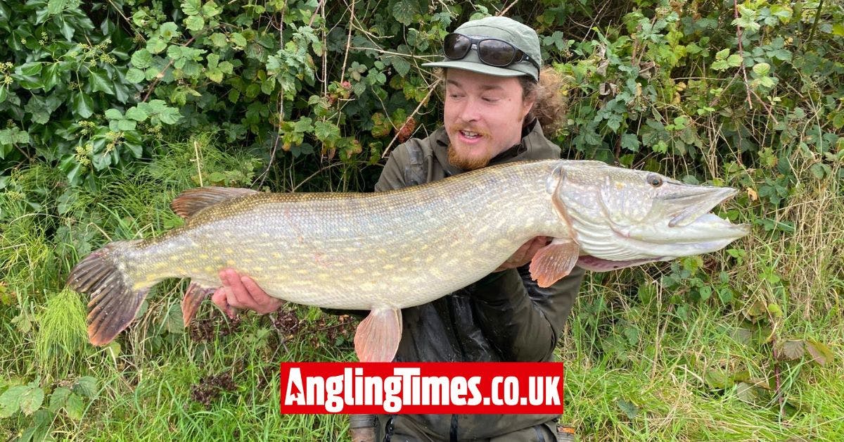 Huge Pike