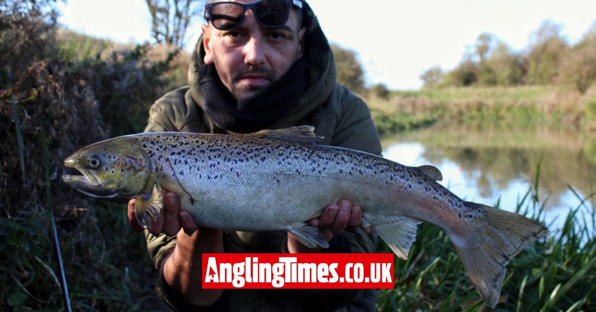 Mystery fish caught from UK canal in shock capture | Angling Times