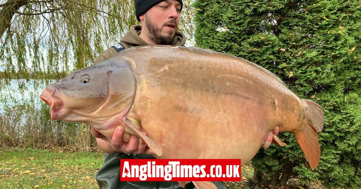 One of the biggest carp in the UK banked | Angling Times