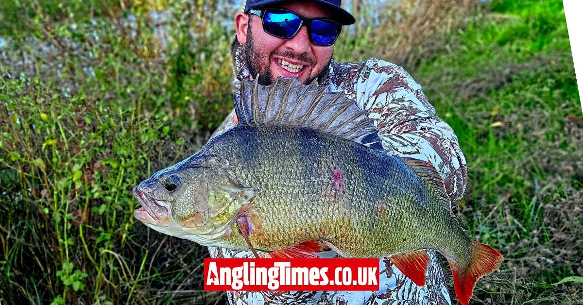 Google Maps helps track down big river perch | Angling Times