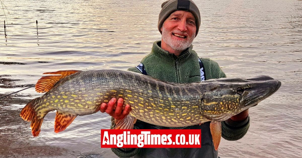 It’s time to get the pike rods out with big fish on the feed | Angling ...