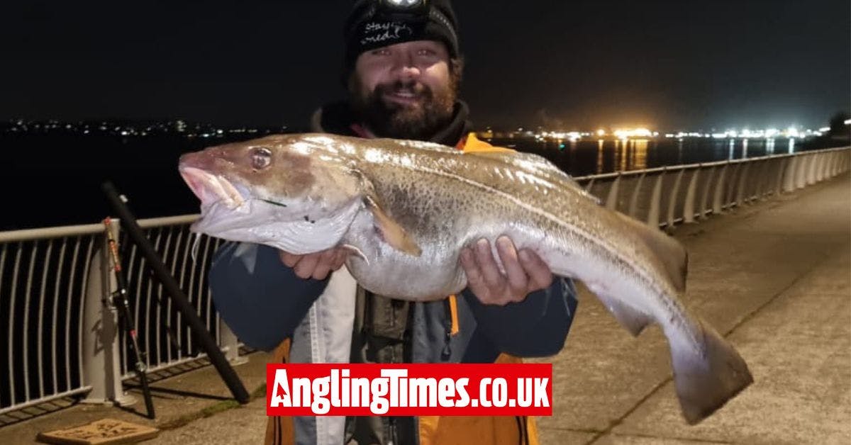 Monster cod landed from the River Mersey | Angling Times