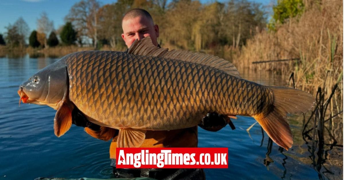 Monumental carp near British Record stocked into popular fishery ...