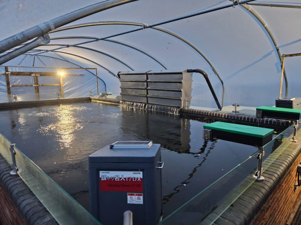 Fishery creates advanced fish tank to produce 60lb carp | Angling Times