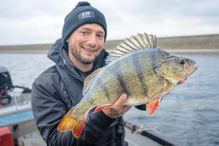 Incredible perch session lands angler dream fish | Angling Times