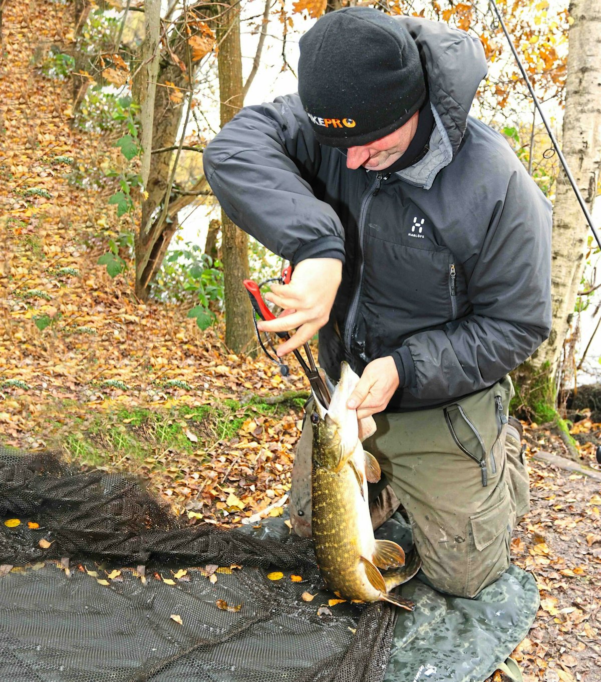 How to deadbait for pike | the best rigs, tips and tricks | Angling Times
