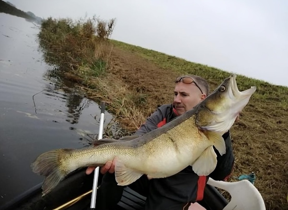 Giant zander brace is angler’s first of the species | Angling Times