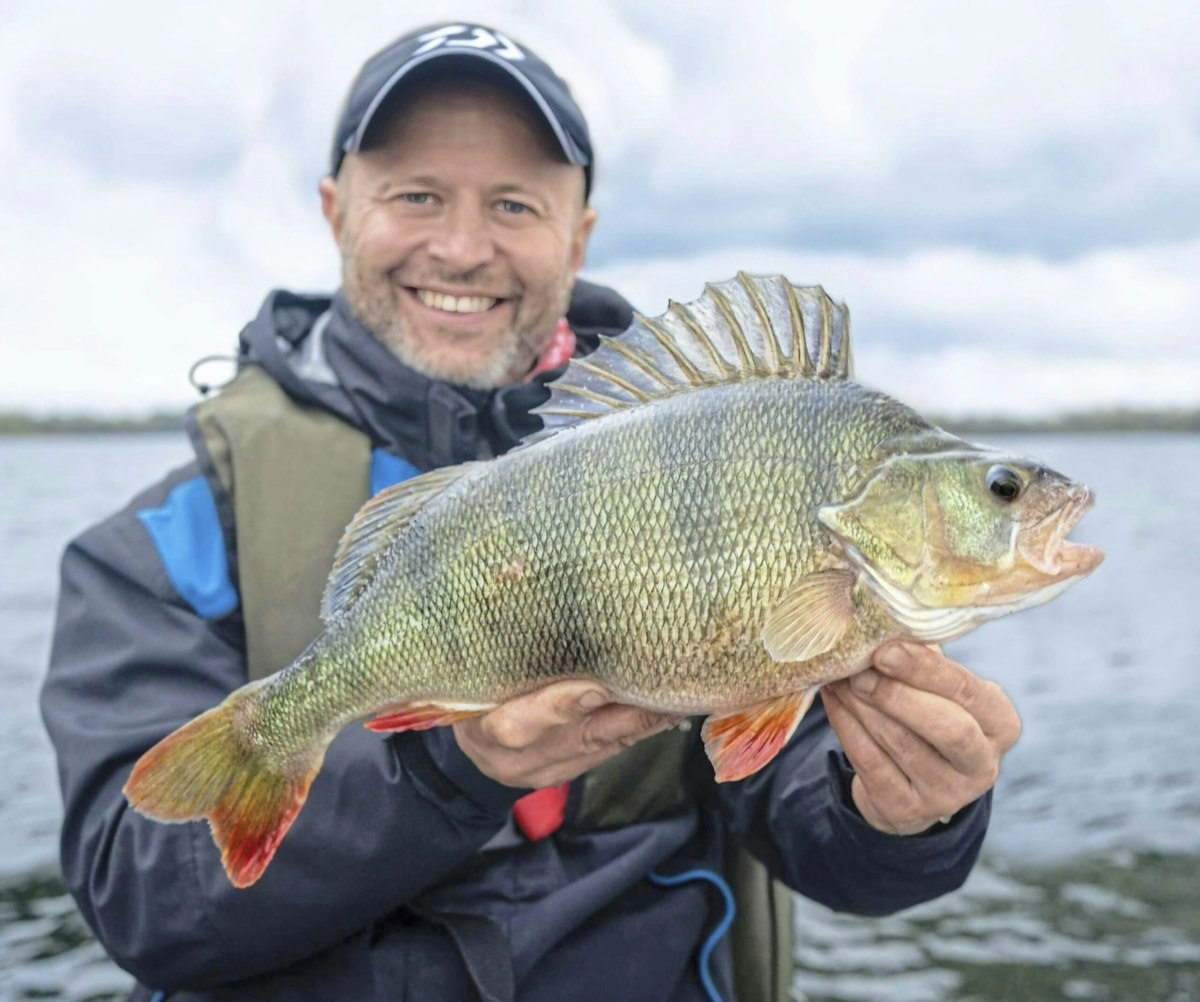 Three casts results in three PB perch | Angling Times