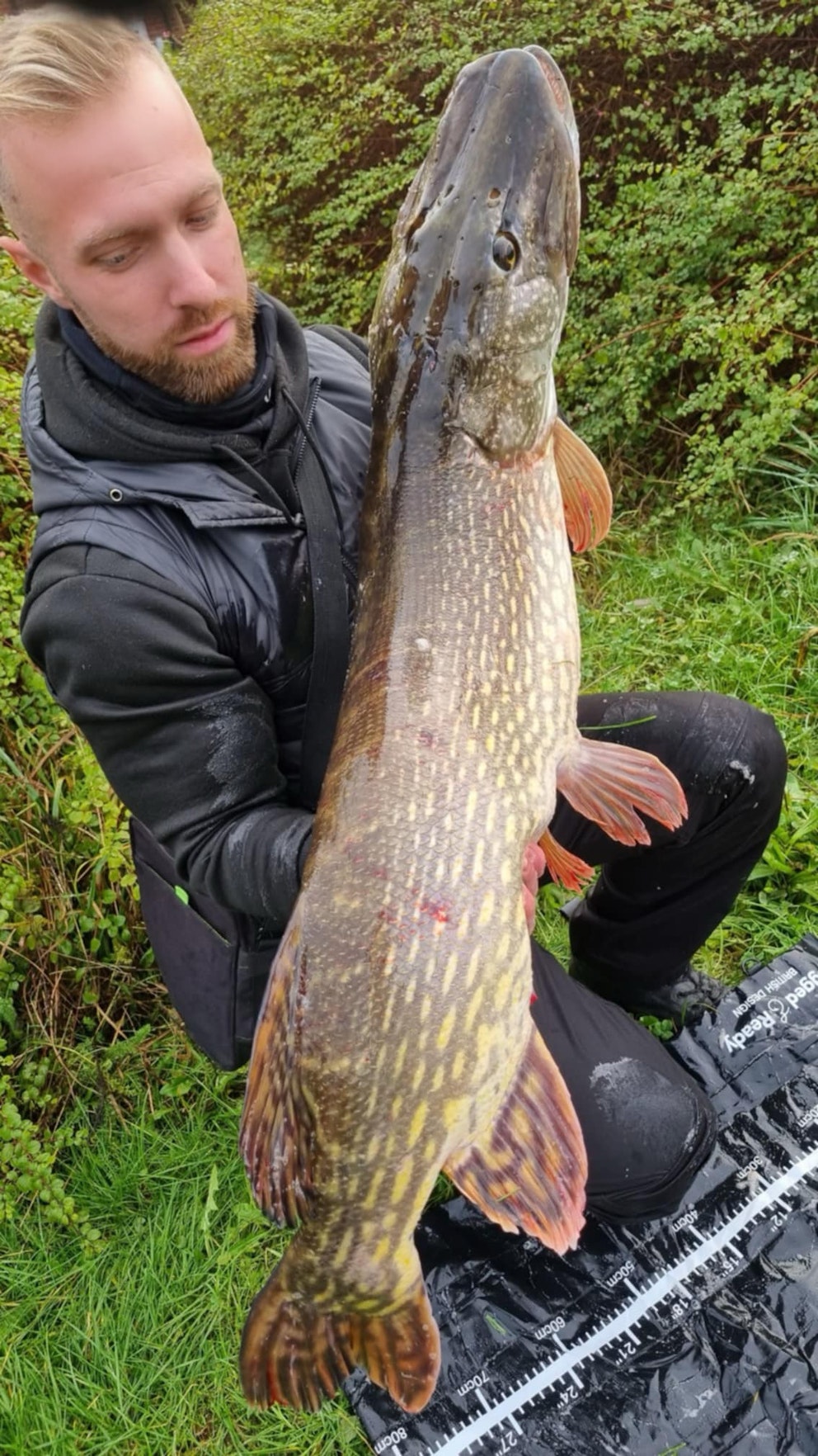 Angler’s first ever pike is a monster from local canal | Angling Times