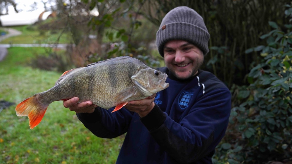 Giant perch landed on the pole | Angling Times