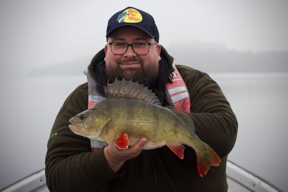 Mega perch landed on first visit to venue | Angling Times