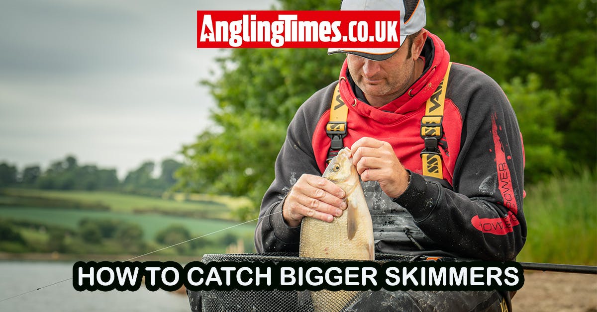 Tips to catch you bigger skimmers | Steve Ringer | Angling Times
