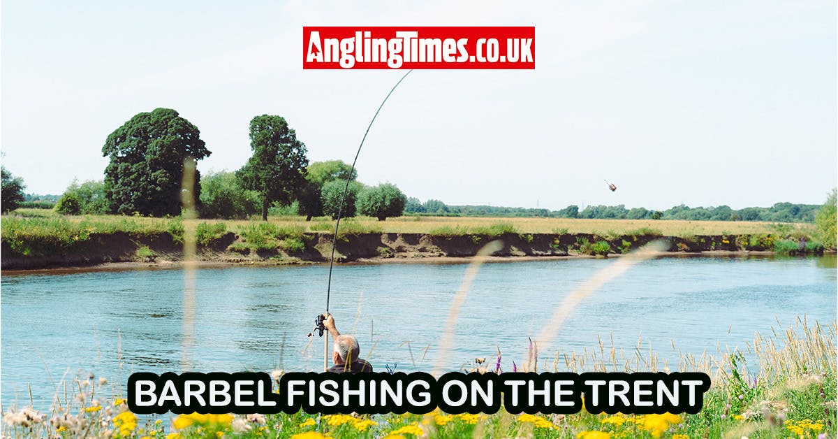 How to fish on the River Trent: A Barbel Angler's Guide