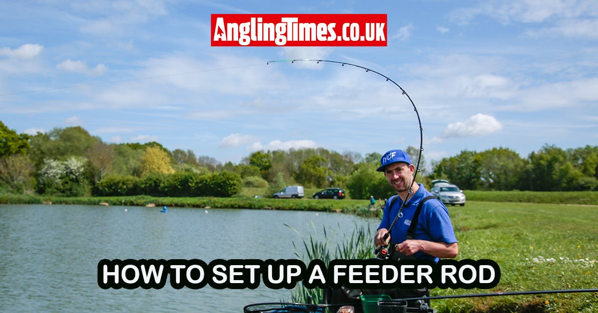 How to Set Up a Feeder Rod: A Step-by-Step Guide