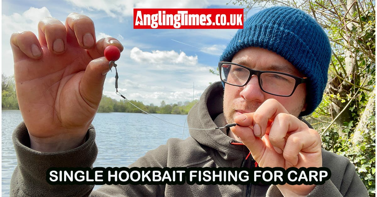 How to improve your single hookbait fishing for carp | Angling Times