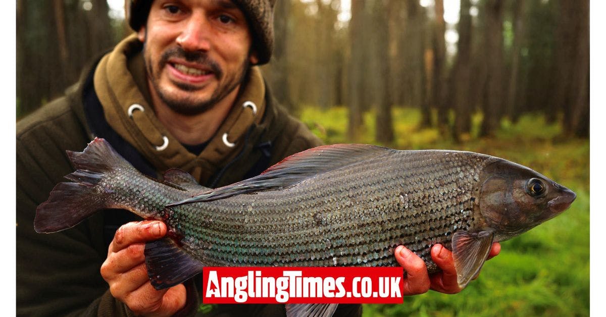 Magnificent grayling ends 10-year quest for Drennan Cup champ | Angling ...