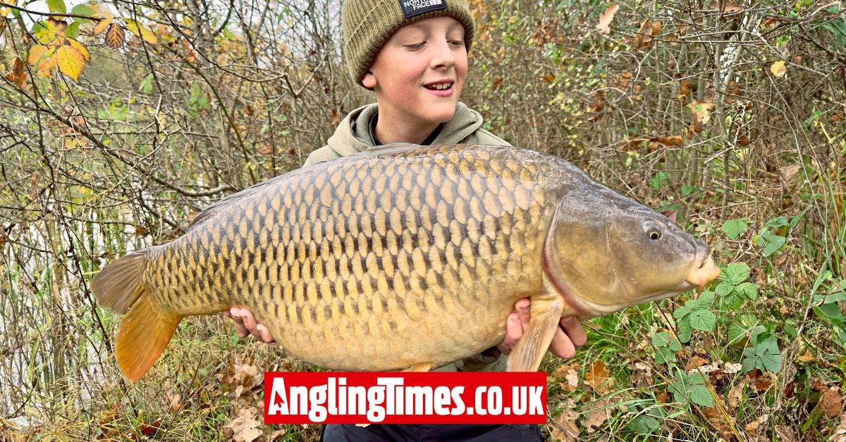 Superb canal carp caught on the ‘lift method’ | Angling Times