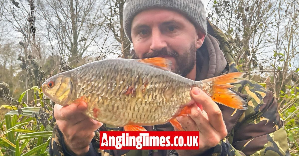 Magical Wensum roach ends quest for elusive 2lb fish | Angling Times
