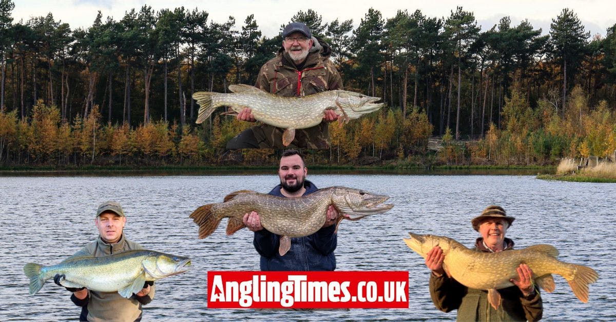 Angling Times