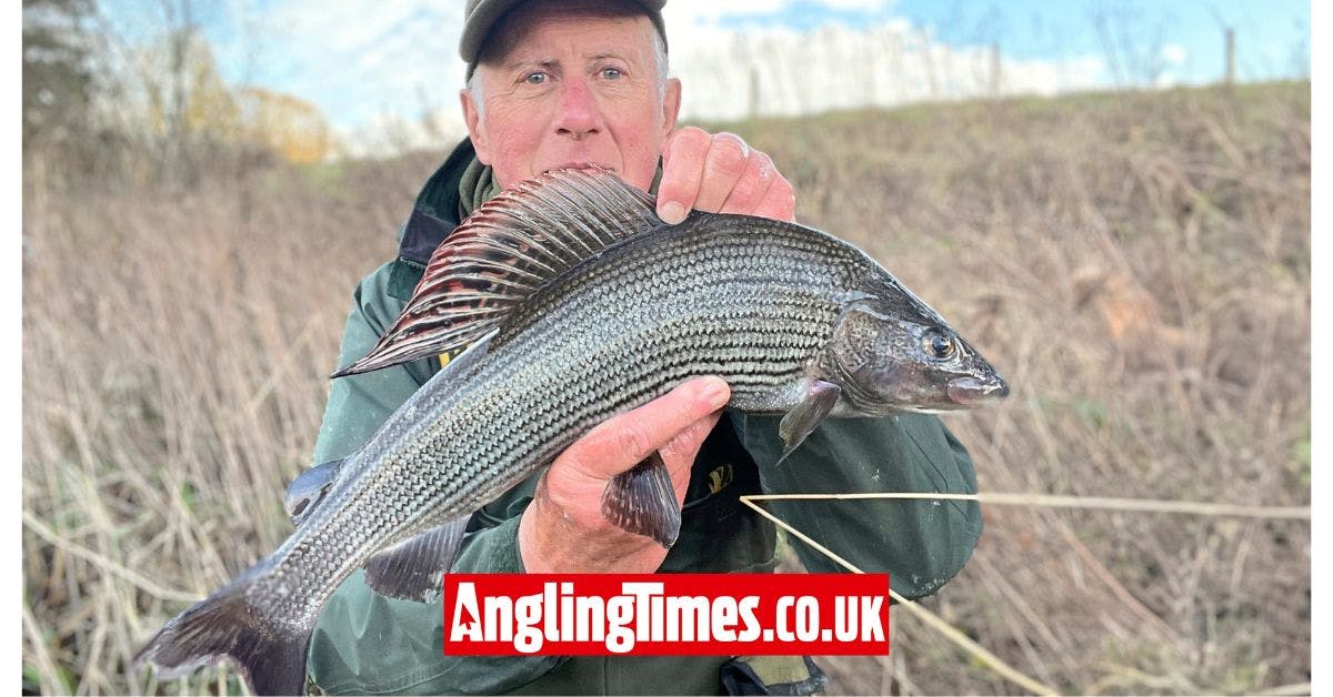 Brace of huge grayling during red-letter session | Angling Times