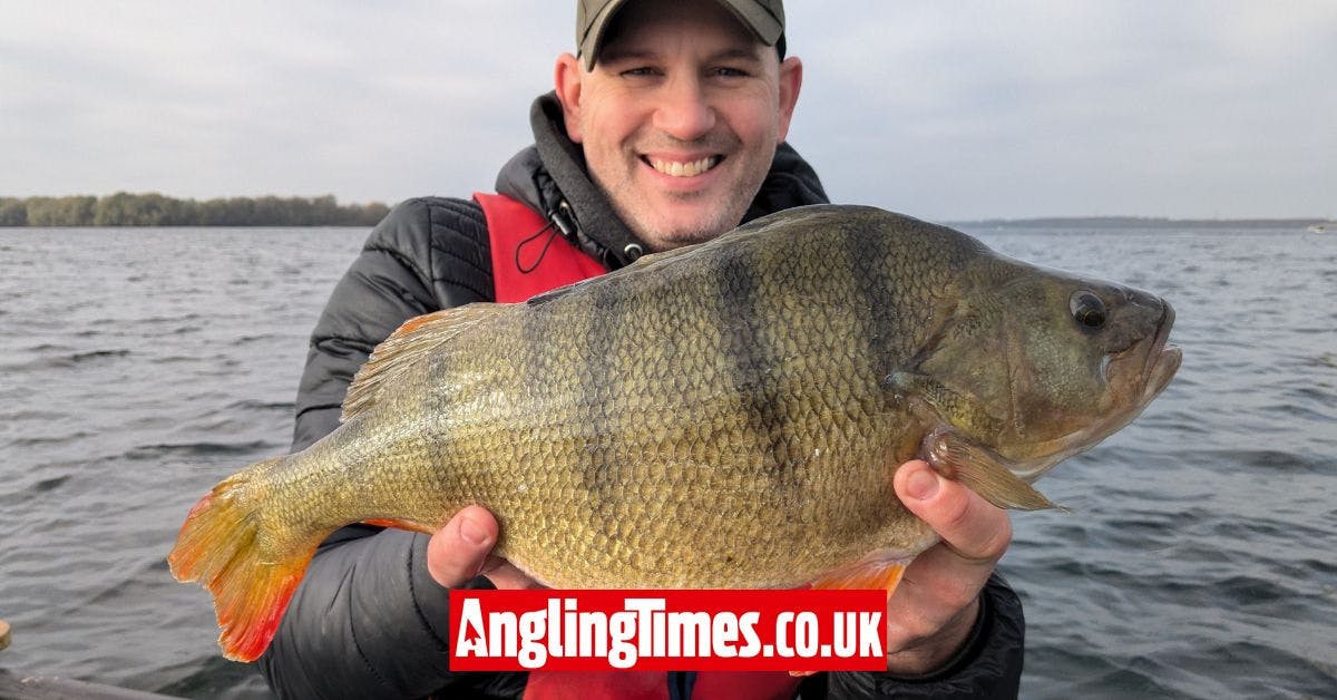 Two bites results in two perch for 9lb | Angling Times