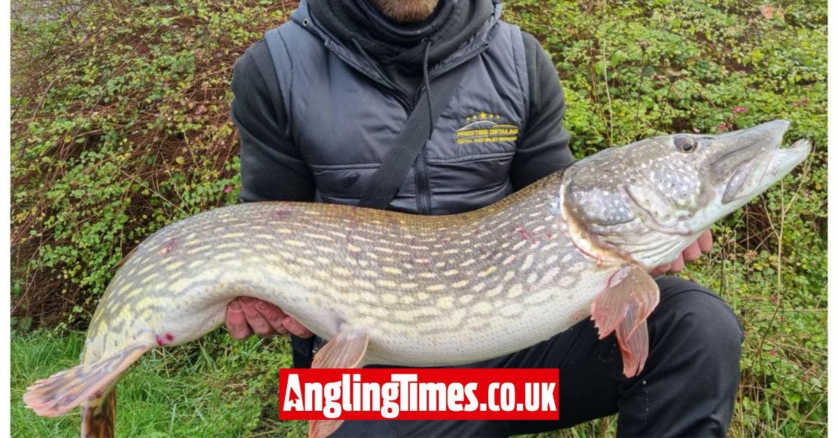 Angler’s first ever pike is a monster from local canal | Angling Times